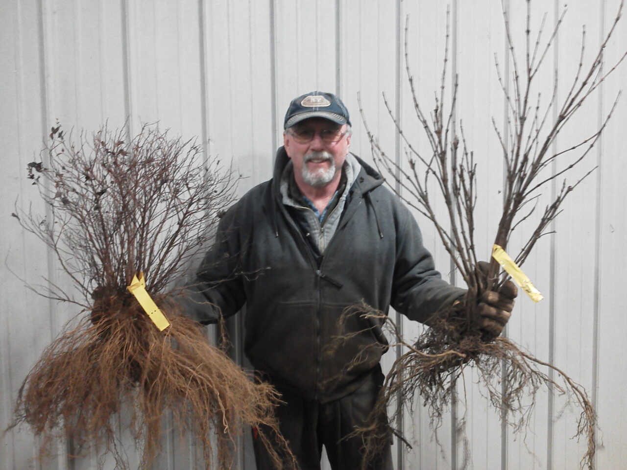 Bare Root Barn - Turnbull Nursery and Garden Center